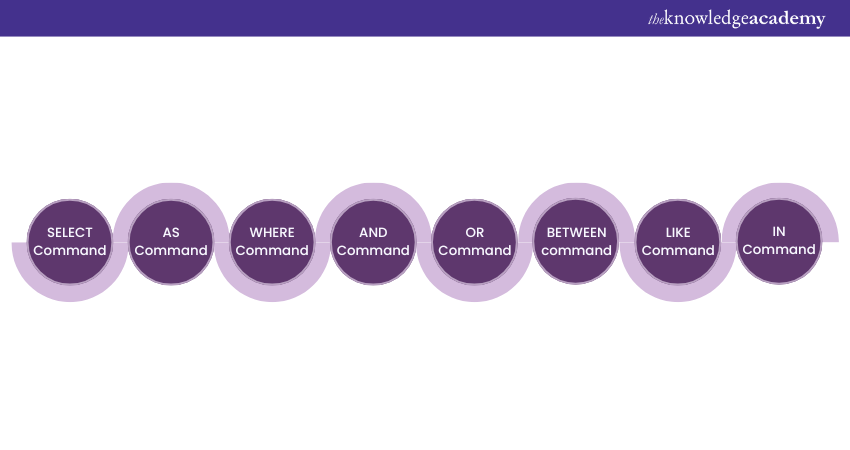 Basic SQL Commands: A Complete List with Examples